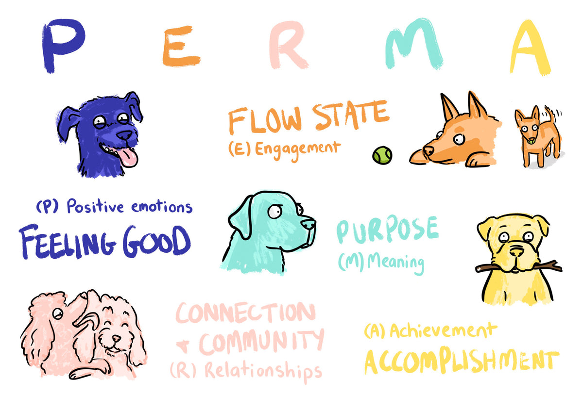 The 5 Building Blocks of Happiness | Hound Town Studio